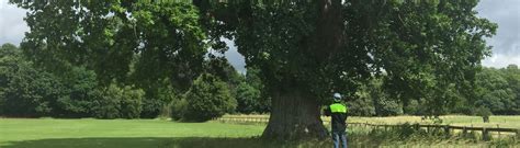 About Tree Preservation Orders Langley Arboriculture Services