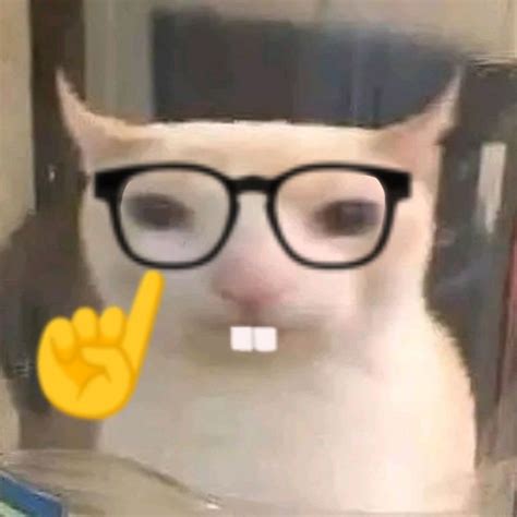 Aesthetic Meme Pfp By Gojicrusader