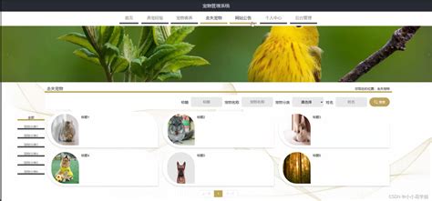 springboot毕设项目宠物管理系统nt169java vue mybatis maven mysql sprnig） csdn博客