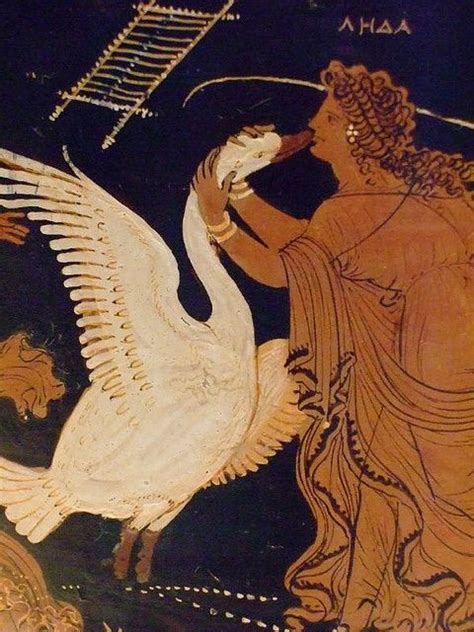Leda The Swan Story The Story Of Leda And The Swan • Greek Gods