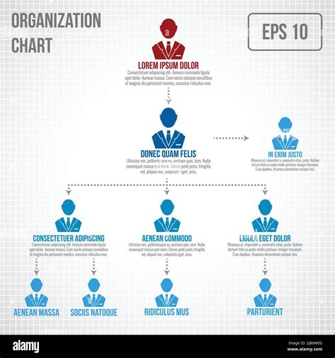 Organizational Chart Infographic Business Hierarchy Boss To Employee