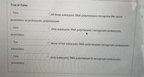 Solved Processing Of A Primary Mrna Transcript In A