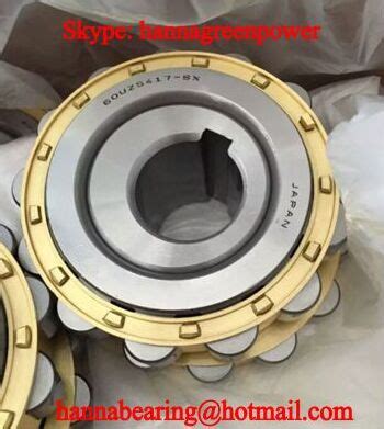 60uzs871113 Eccentric Bearing With Bushing 60x113x62mm 60uzs871113