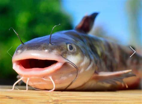 Diaper Time Rwtfjennajameson