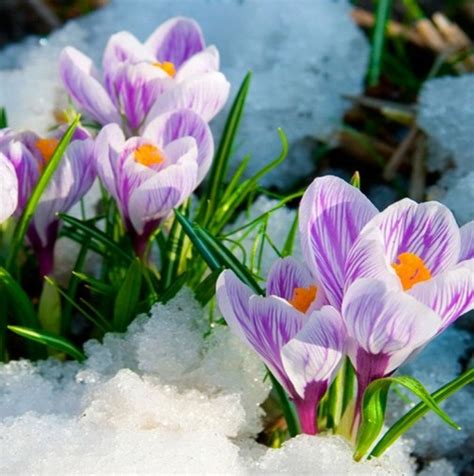 Ако сте Рак Скорпион и Риби в четвъртък поводи за положителни емоции Овен Лъв и Стрелец