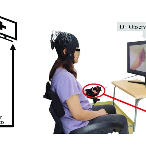 Schematic Diagram Of The Experimental Setup And Paradigm A Download Scientific Diagram