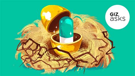 Why We Should Switch To A Base 12 Counting System Why We Should Switch To A Base 12 Counting System