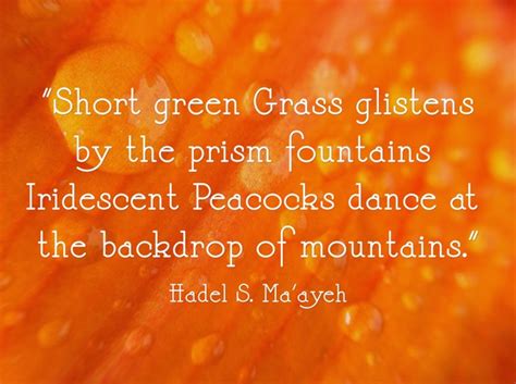 Short Green Grass Glistens By The Prism Fountains Quozio