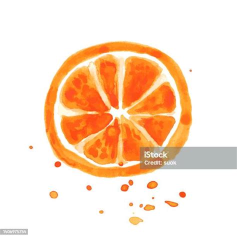 오렌지 과일 손 페인트 수채화 벡터 일러스트레이션 감귤 류 감귤에 대한 스톡 벡터 아트 및 기타 이미지 감귤 감귤류 과일 건강한 식생활 Istock