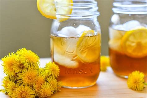 How To Make Dandelion Tea Wild Game And Fish
