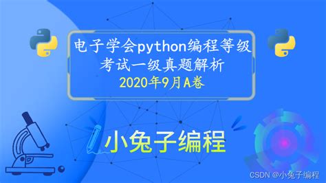 青少年编程 电子学会python编程等级考试一级真题解析（选择题）2020 9a卷 关于以下代码的说法正确的是 t int
