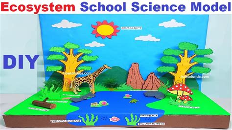 Ecosystem School Science Model For Exhibition Diy Simple And Easy Howtofunda Youtube