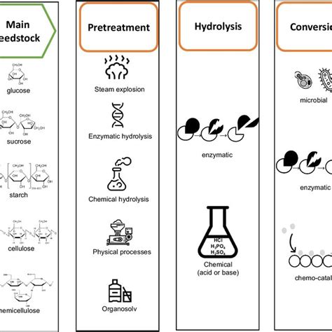 Production Of Bio Based Compounds From Renewable Raw Materials After