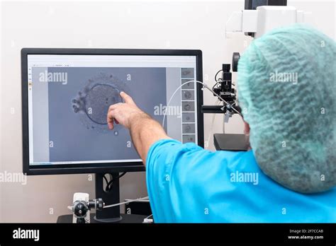 embryologists perform test with human eggs doctor working on