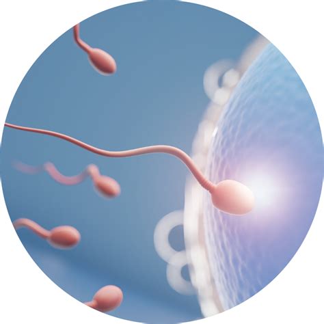 Infertility Obgynrx