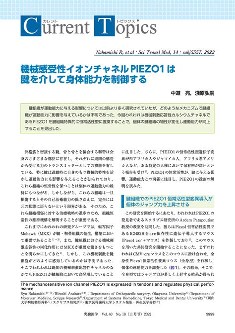 機械感受性イオンチャネルPIEZO1は腱を介して身体能力を制御する実験医学online羊土社 羊土社