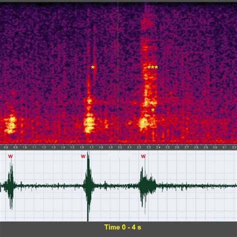 Spectrogram And Time Display Of Seven Woop Signals W11 W17 Time