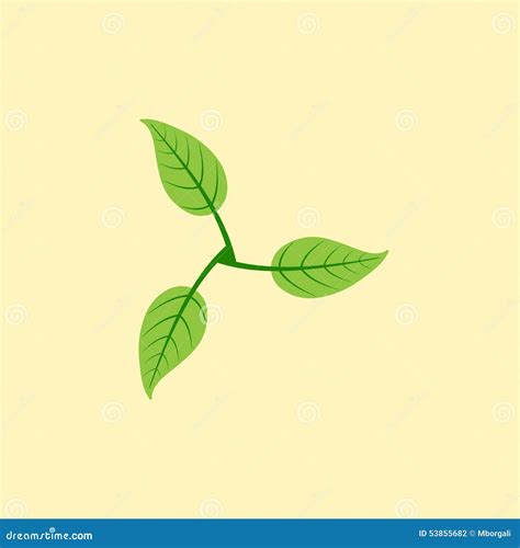 Three Leaves Logo Vector Illustration 53855682