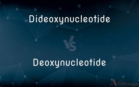 Dideoxynucleotide Vs Deoxynucleotide — Whats The Difference