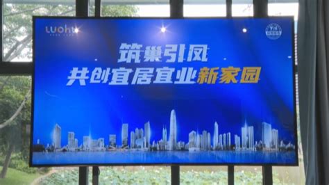 罗湖双周发布：筑巢引凤 共创宜居宜业新家园