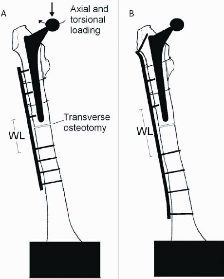 Schematic To Show The Short A And Long B Plate Con Figurations Download Scientific