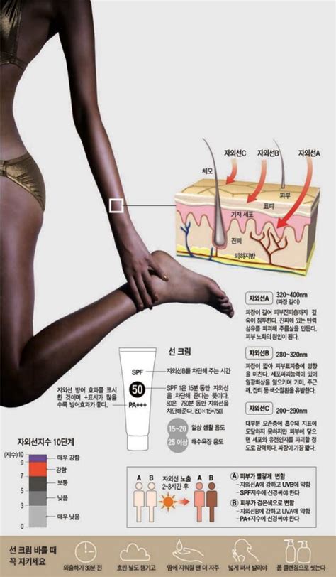 올바른 자외선 차단제 사용법 중앙일보