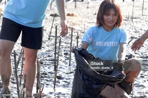 맹그로브 숲의 오염 환경을 줄이기 위해 파란색 티셔츠를 입고 쓰레기를 수거하고 깊은 진흙 속에 서서 자선 활동을 함께하는 자원 봉사자 그룹 에코 세계 환경의 날 재식림에