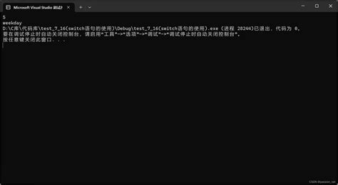 Switch语句 Csdn博客