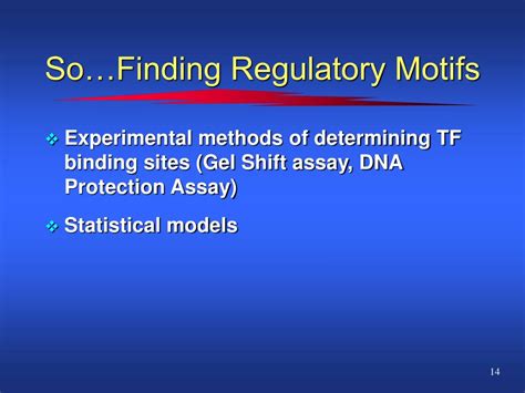 Ppt Regulatory Motif Finding Powerpoint Presentation Free Download Id822605