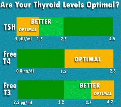 Thyroid Level Chart Amulette