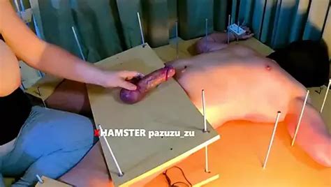 Pazuzuzu Porn Creator Videos Free Amateur Nudes Xhamster