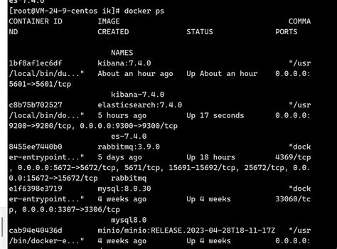 Elasticsearches介绍和安装 Csdn博客