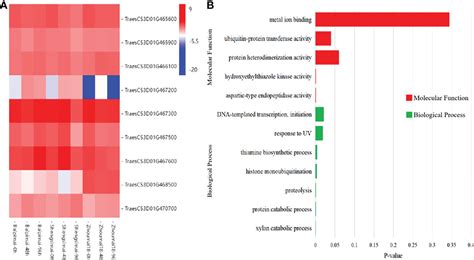 Frontiers Mapping Quantitative Trait Loci And Developing Their Kasp Markers For Pre Harvest