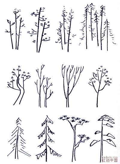 100种植物简笔画小图 植物卡片 宝宝吧