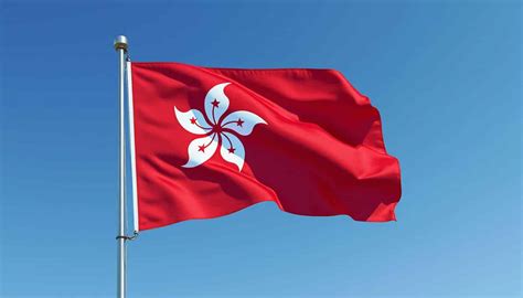 Discovering Hong Kongs Flag Symbolism And History