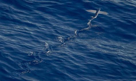 Exploring Agile Software Development Methodologies — Association Of Registered Web Designers