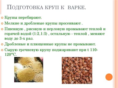 Технология приготовления блюд из каш презентация онлайн