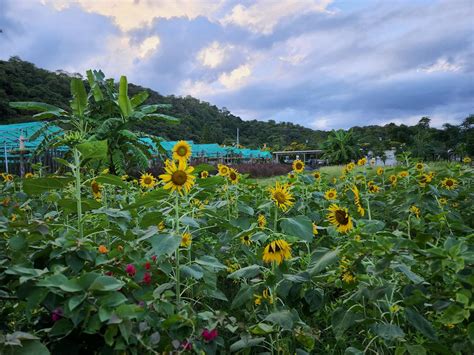 អត្ថបទថ្មីៗ ចុងក្រោយ