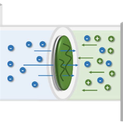 Illustration Of The Two Compartment Crossflow Reactor Download Scientific Diagram