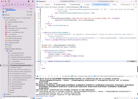 Hippyanimatedview Display Static Image Crash In Ios13 Device · Issue 1688 · Tencenthippy · Github