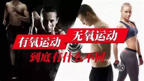 介紹有氧運動和無氧運動有什麼區別 每日頭條