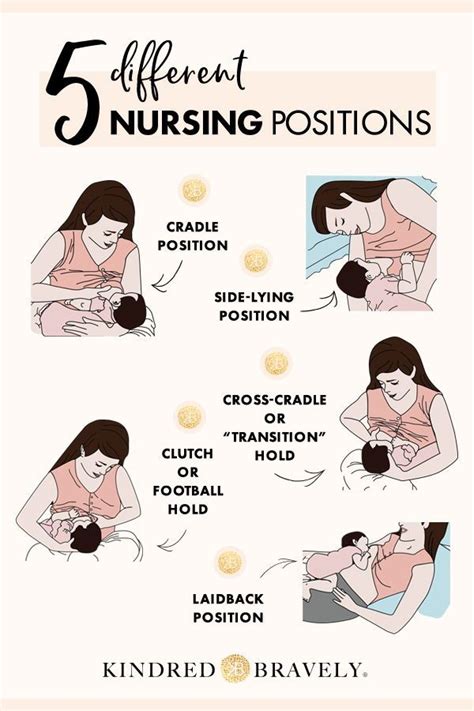 5 Common Breastfeeding Positions Artofit