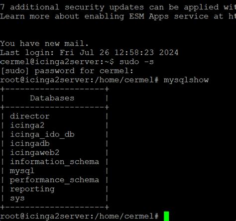 Db Is Not Running Icinga Db Icinga Community