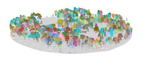 Module 3 Mapping Trees From Aerial Lidar Data The Jones Center At