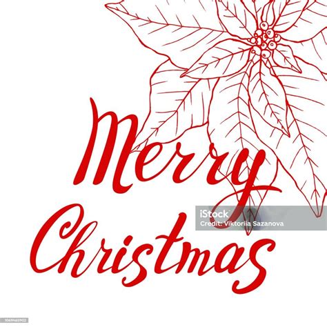 인사말 카드 선화 스타일에 레터링 문구 아름 다운 손으로 그린된 포 인 세 티아와 함께 좋은 크리스마스와 새 해 인사 및 초대장 0명에 대한 스톡 벡터 아트 및 기타 이미지