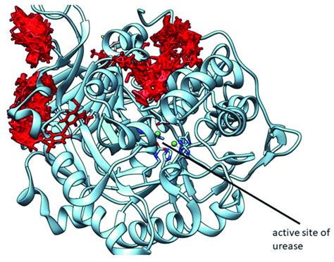 Molecular Docking Result Illustrating The Binding Mode With The Highest Download Scientific