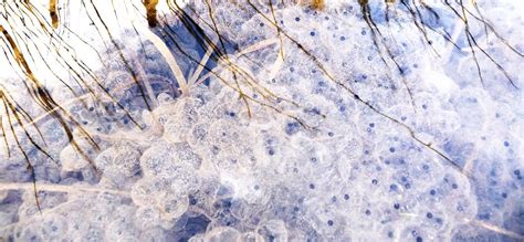 My Abstract Minimal And Experimental Photos 10 My Abstract Minimal And Experimental Photos