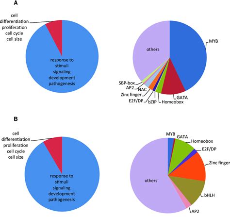 Distribution Of Tf Protein Functions A And B Left Panel And