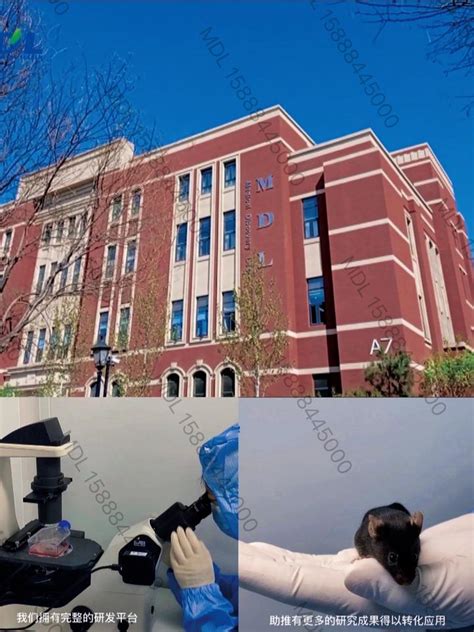 肿瘤细菌免疫治疗的研究现状与未来方向 知乎