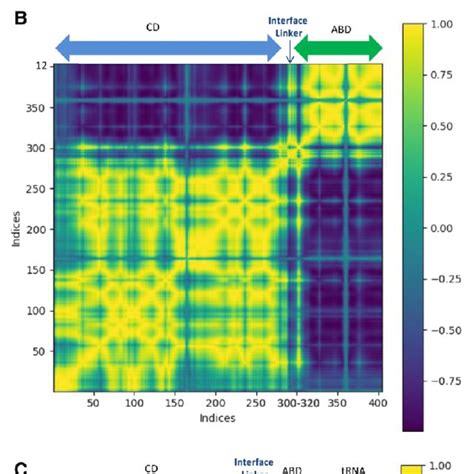 Dynamic Cross Correlation Maps Calculated Using Mdenm Methods For Download Scientific Diagram